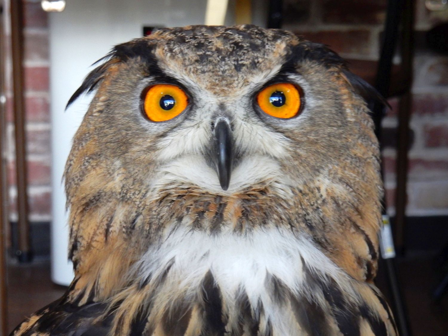 常盤 優さんの写真 | ギャラリー | 俳句結社「炎環」