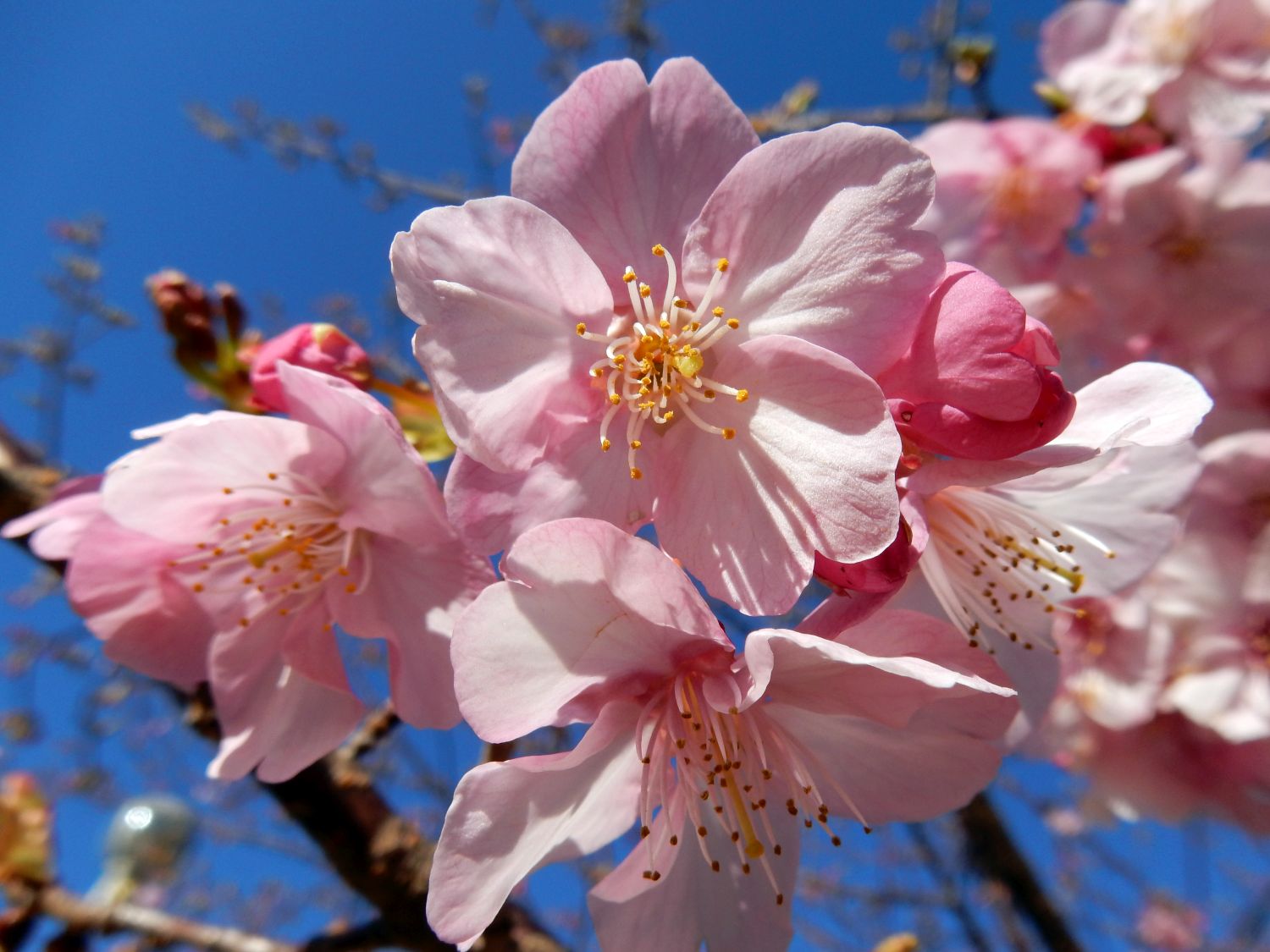 常盤 優さんの写真 | ギャラリー | 俳句結社「炎環」