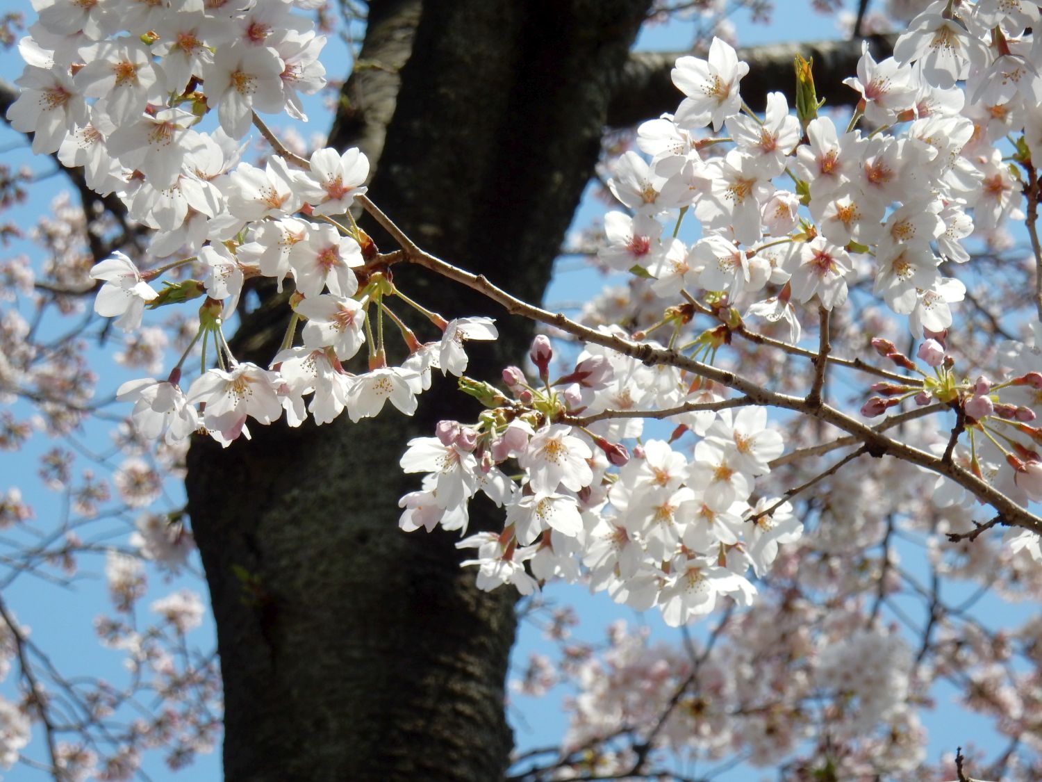 常盤 優さんの写真 | ギャラリー | 俳句結社「炎環」