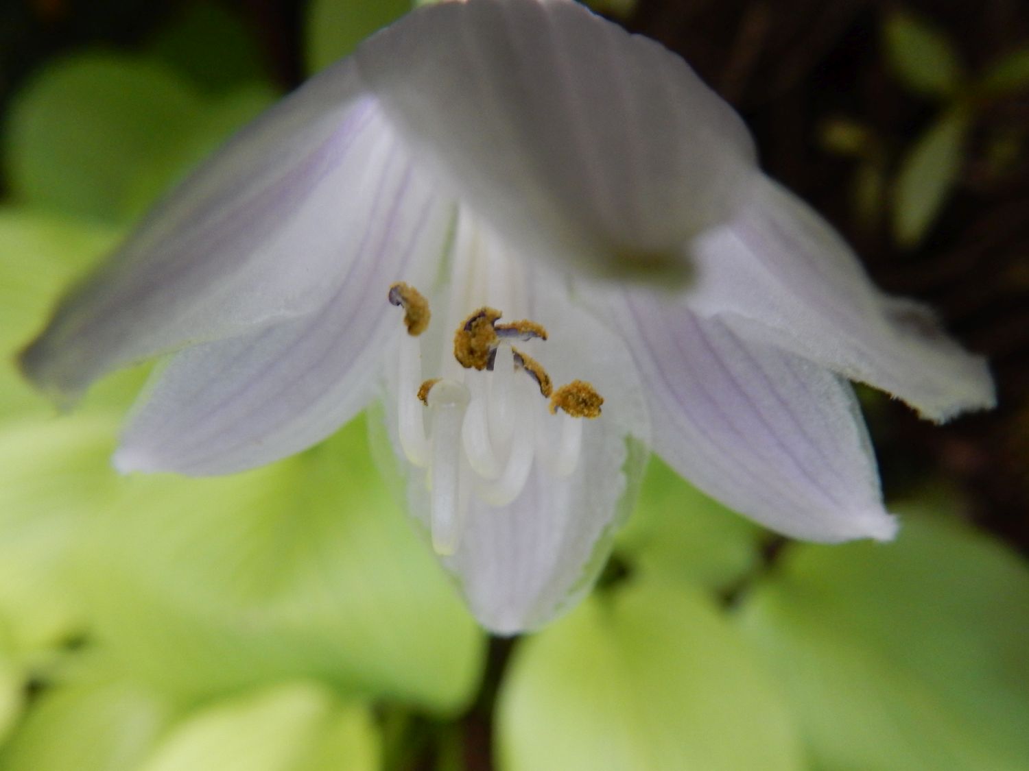 常盤 優さんの写真 | ギャラリー | 俳句結社「炎環」