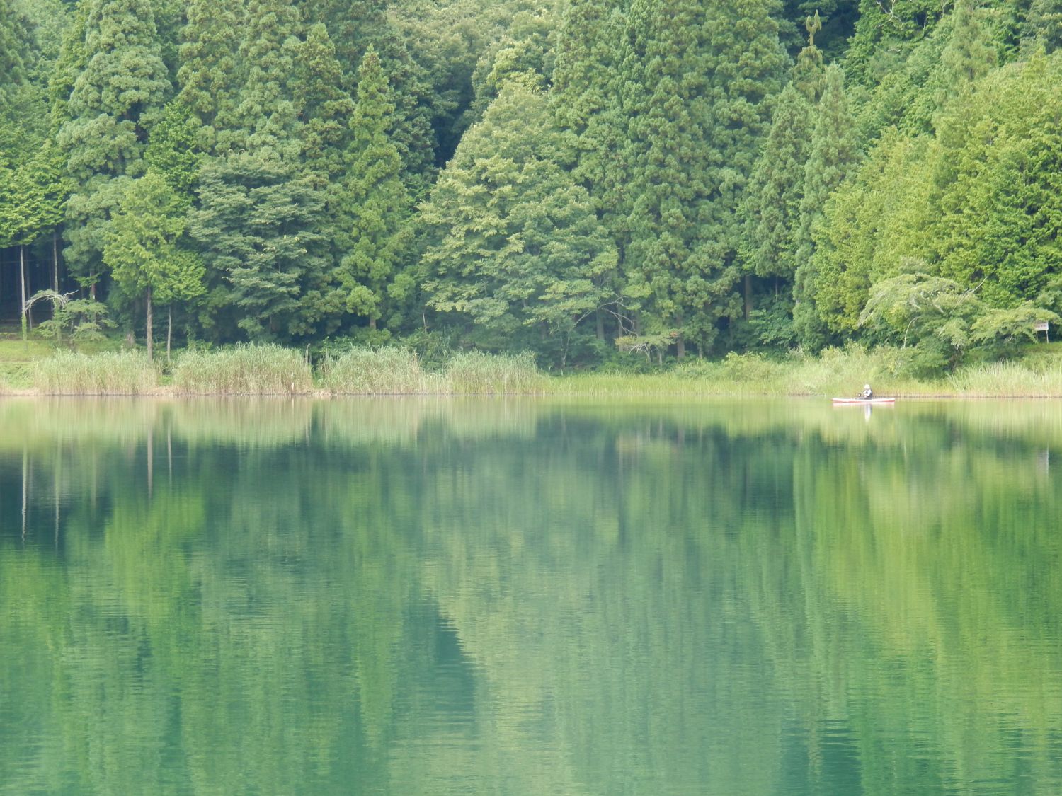 常盤 優さんの写真 | ギャラリー | 俳句結社「炎環」