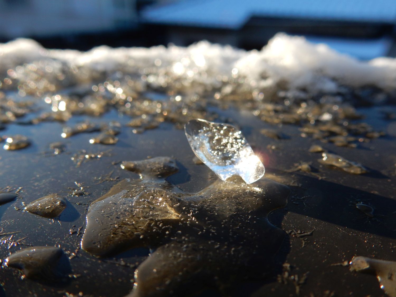 常盤 優さんの写真 | ギャラリー | 俳句結社「炎環」