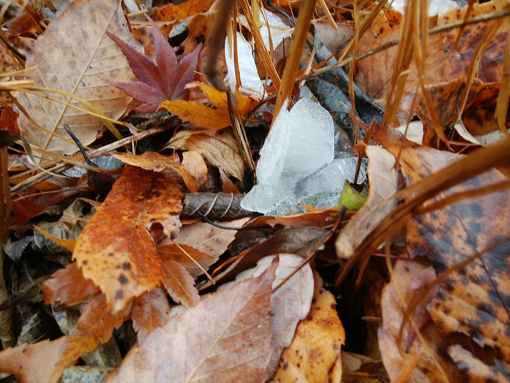 常盤 優さんの写真 | ギャラリー | 俳句結社「炎環」