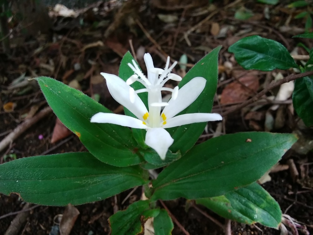 常盤 優さんの写真 | ギャラリー | 俳句結社「炎環」