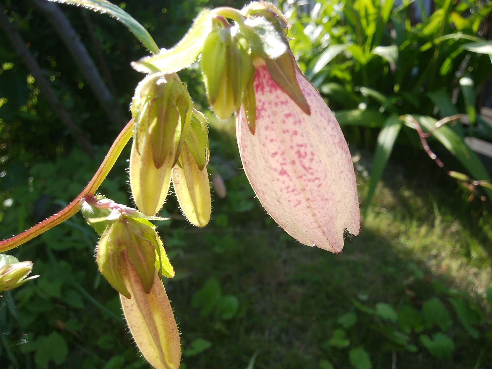 常盤 優さんの写真 | ギャラリー | 俳句結社「炎環」