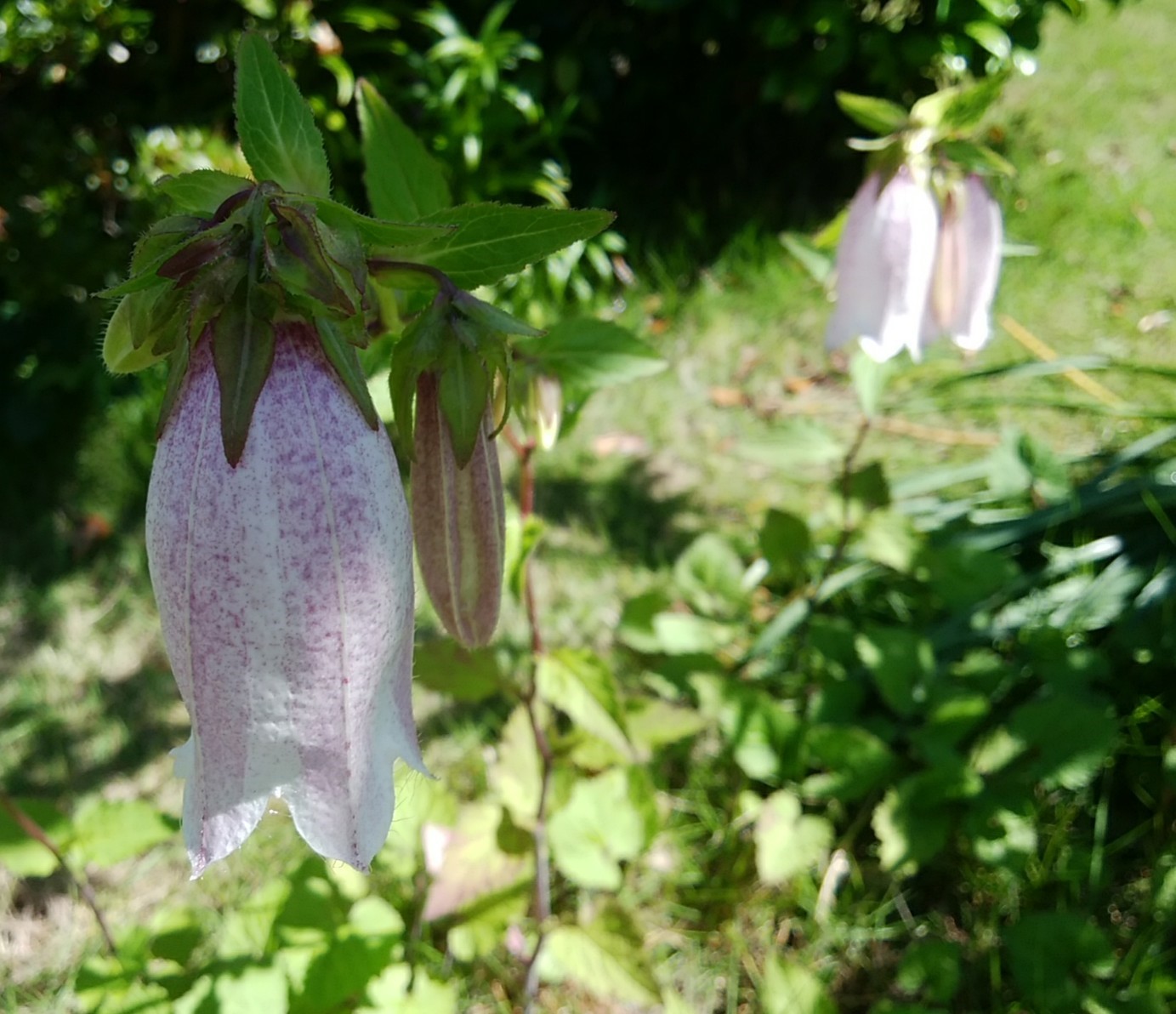 常盤 優さんの写真 | ギャラリー | 俳句結社「炎環」