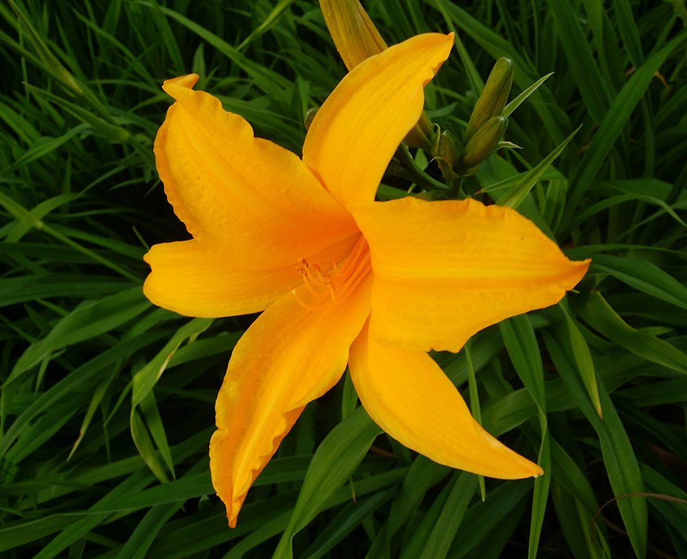 常盤 優さんの写真 | ギャラリー | 俳句結社「炎環」