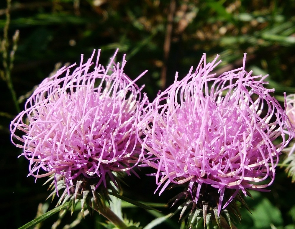常盤 優さんの写真 | ギャラリー | 俳句結社「炎環」